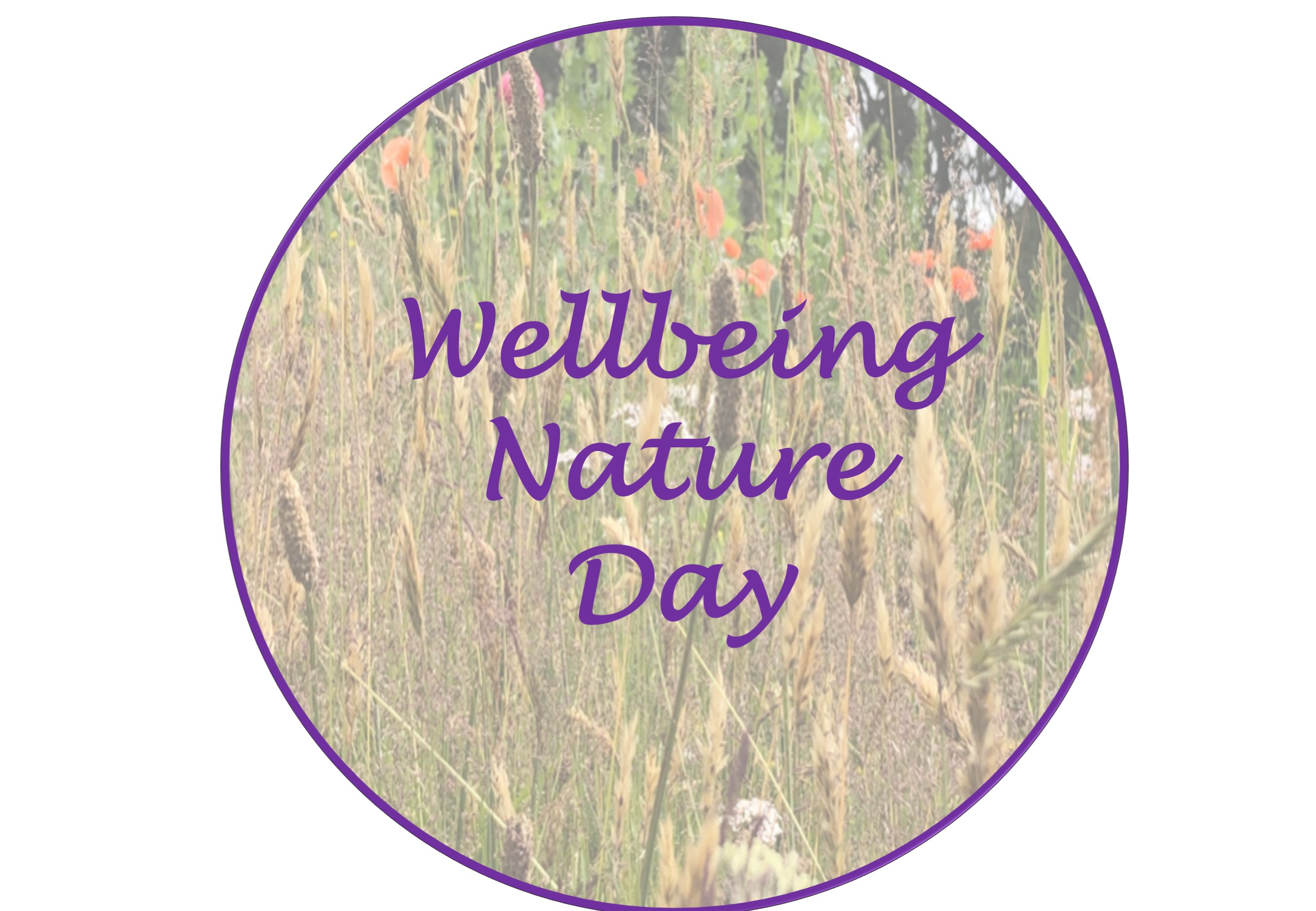 Wellbeing Nature Days - Wiltshire-Wellbeing